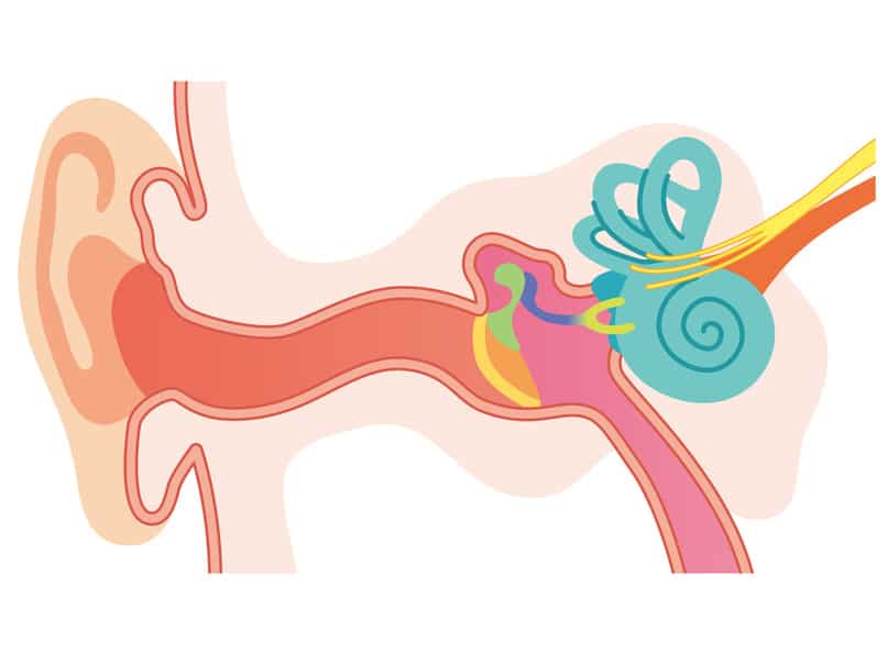 Ear Drum Damage: What ENT Patients Need to Know - enttex